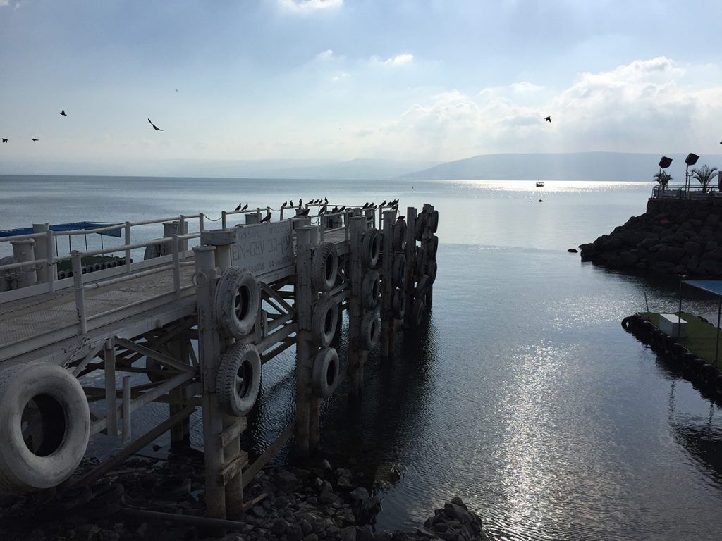 Israel Tours - World of the Bible